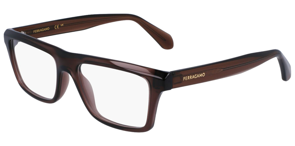 Ferragamo Transparent Brown Rectangular Eyeglasses – Eyedictive