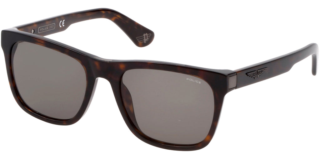 Police Origins Bullet 1 Glossy Dark Havana Thick Square – Eyedictive